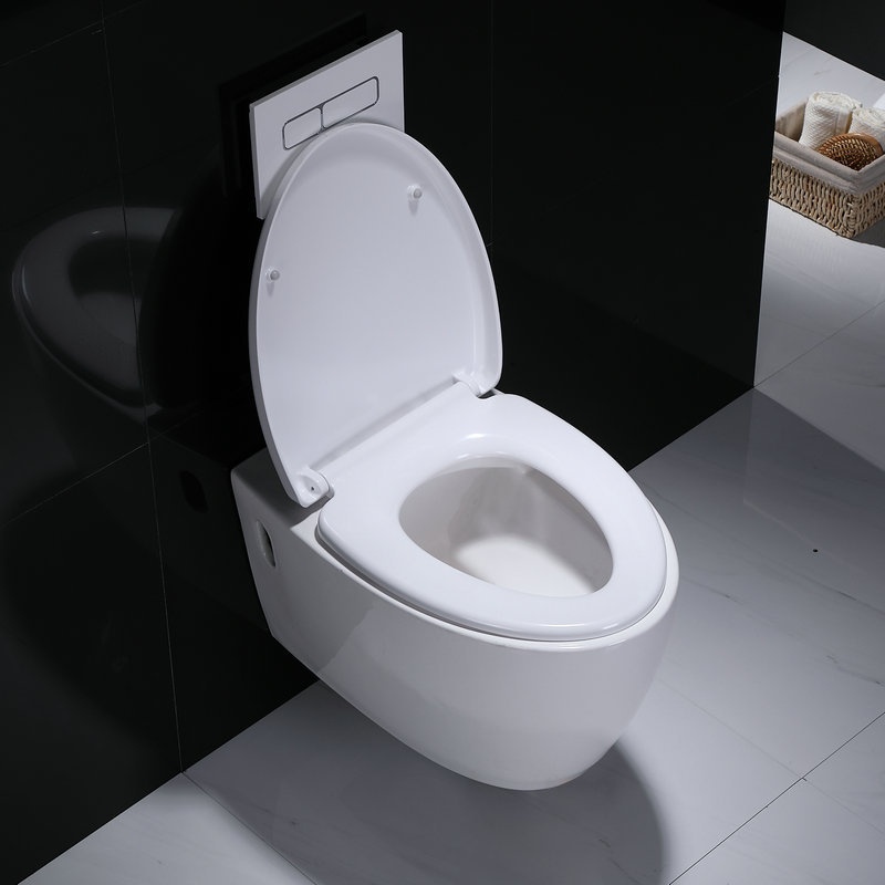 Wall Mounted Toilet wall-mounted-toilet